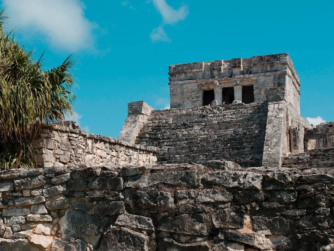 Live the amazing Tulum Xtreme experience | Sun Palace®